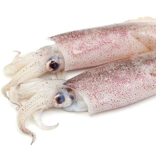 Nuestros productos – Page 4 – Wikuk